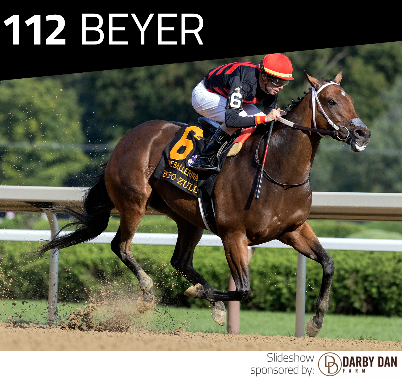 Slideshows Listing Page | Daily Racing Form