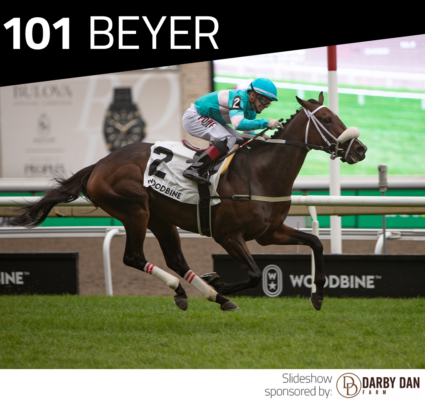 Slideshows Listing Page | Daily Racing Form